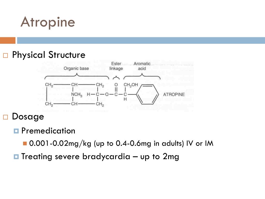 PPT - Ch. 11 anticholinergic drugs PowerPoint Presentation, free ...