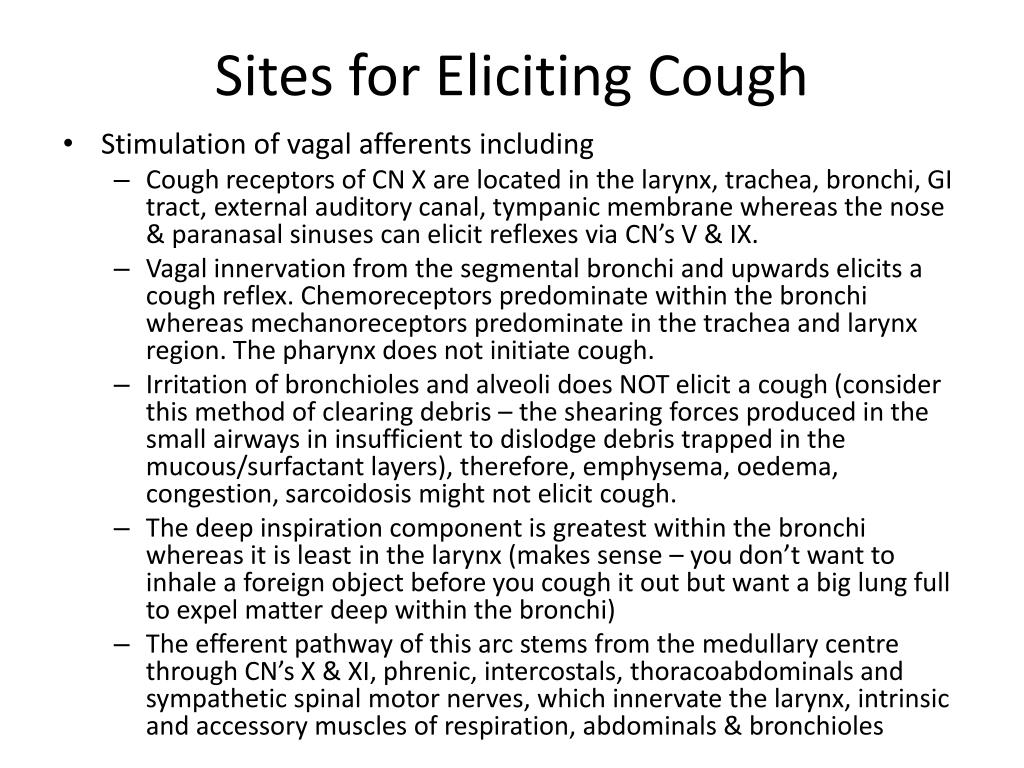 PPT - Respiratory Tract Receptors, Cough Reflex & Related Anatomy ...