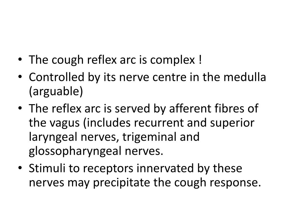 PPT - Understanding the Cough Reflex: Mechanisms and Influences on ...