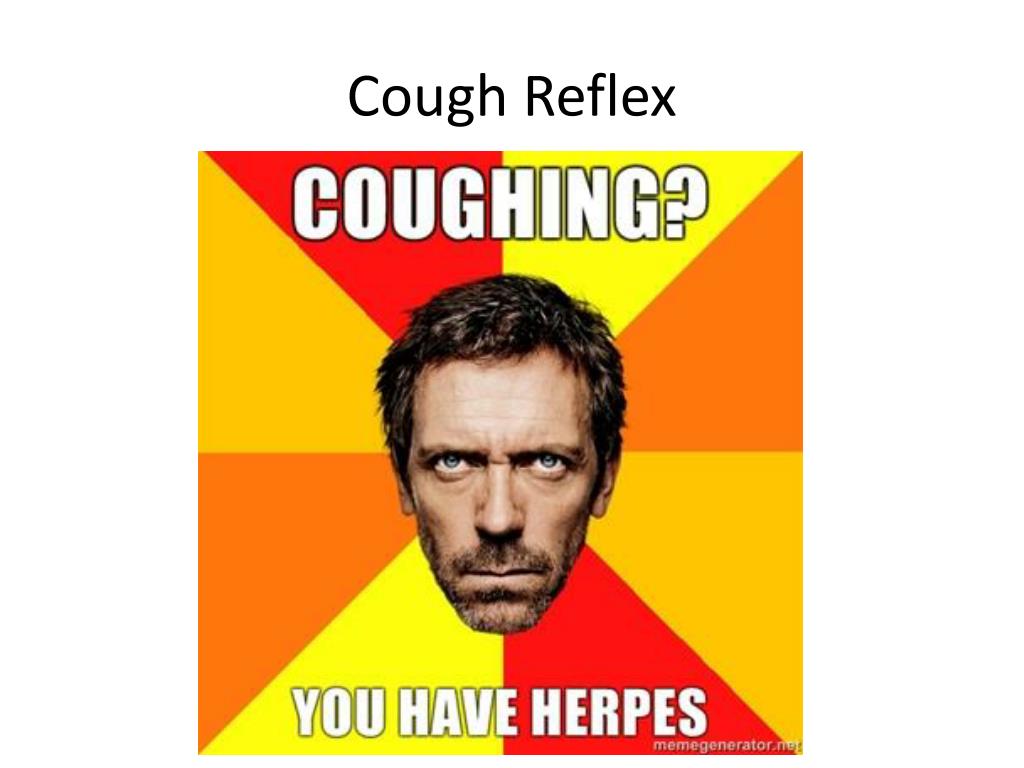 PPT - Respiratory Tract Receptors, Cough Reflex & Related Anatomy ...