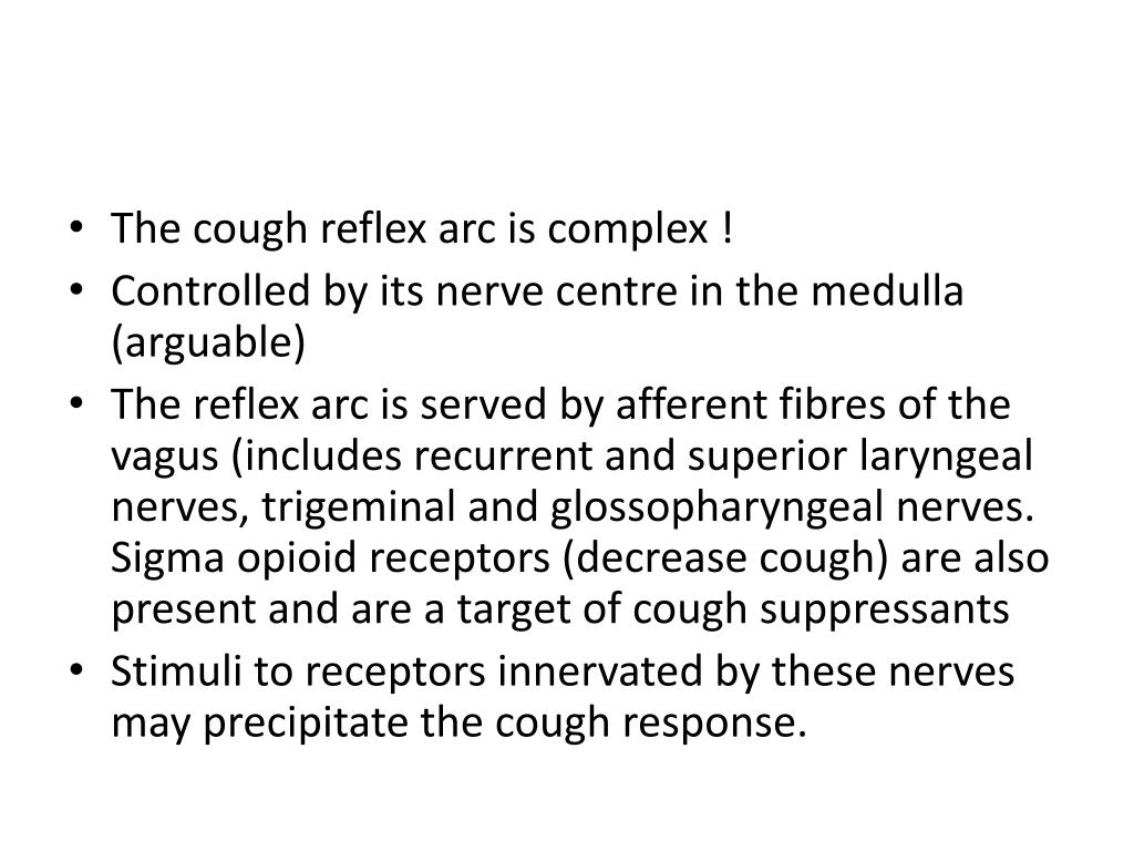 PPT - Respiratory Tract Receptors, Cough Reflex & Related Anatomy ...
