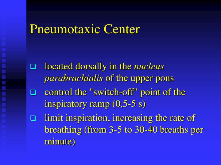 PPT - Regulation of Respiration PowerPoint Presentation - ID:2245072
