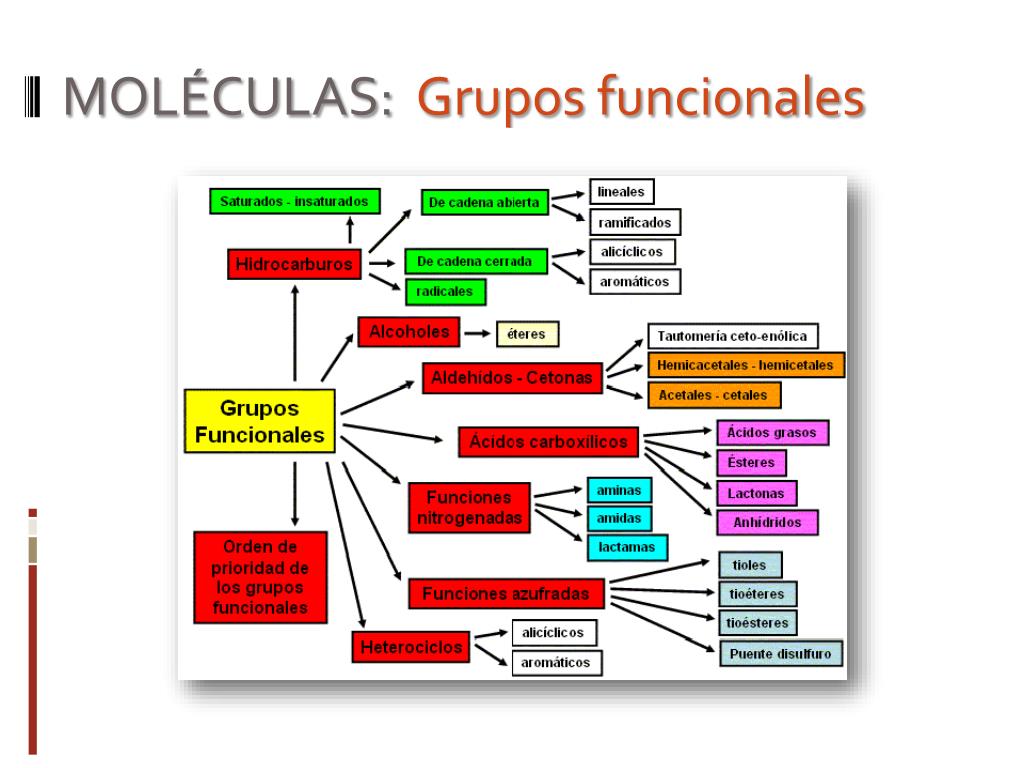 PPT - Bioquímica ESTRUCTURAL Composición molecular de los seres vivos ...