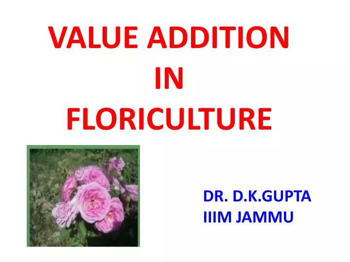 PPT - VALUE ADDITION IN FLORICULTURE PowerPoint Presentation, free ...