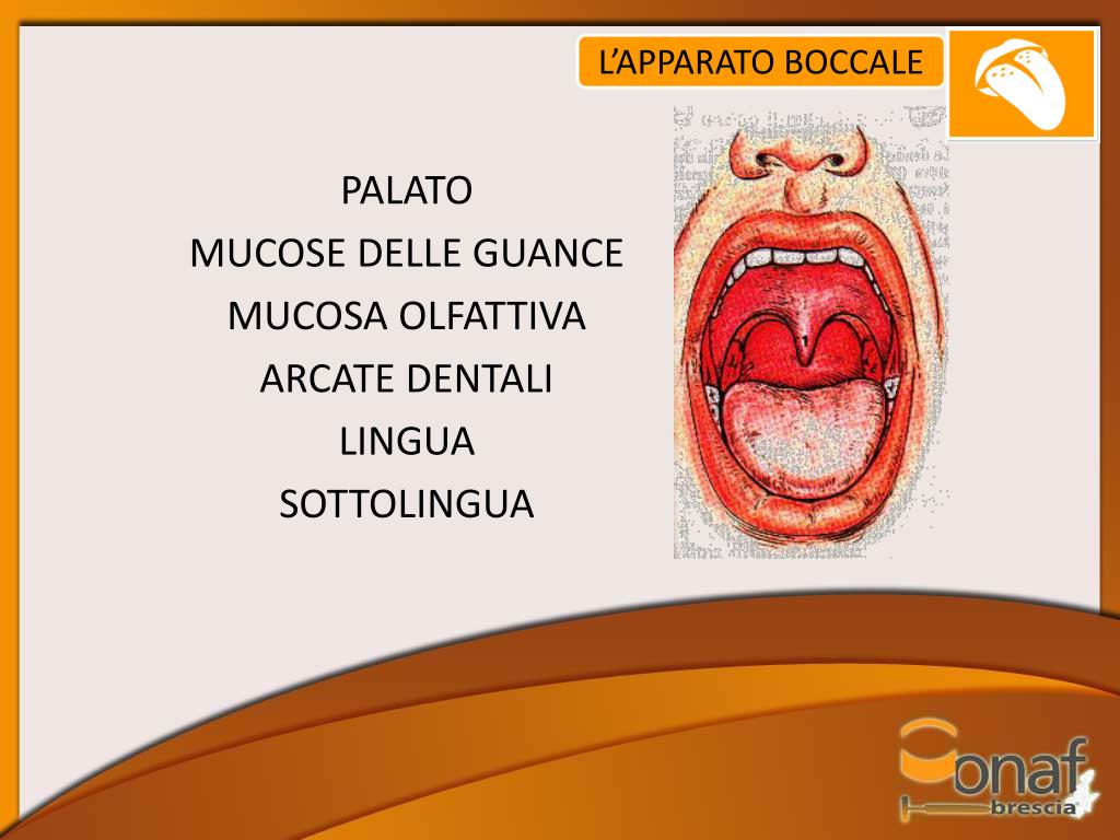 PPT - INTRODUZIONE ALL’ANALISI SENSORIALE PowerPoint Presentation, free ...