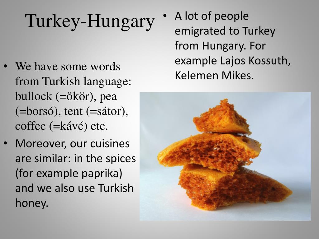 PPT - The relationship between Turkish, Italian, Polish and Hungarian ...