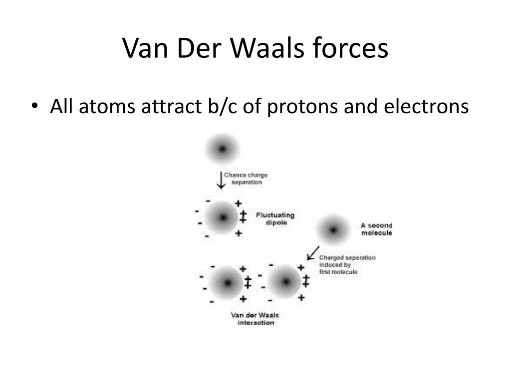 PPT - The forces at work on proteins/ glutamic acid and valine ...