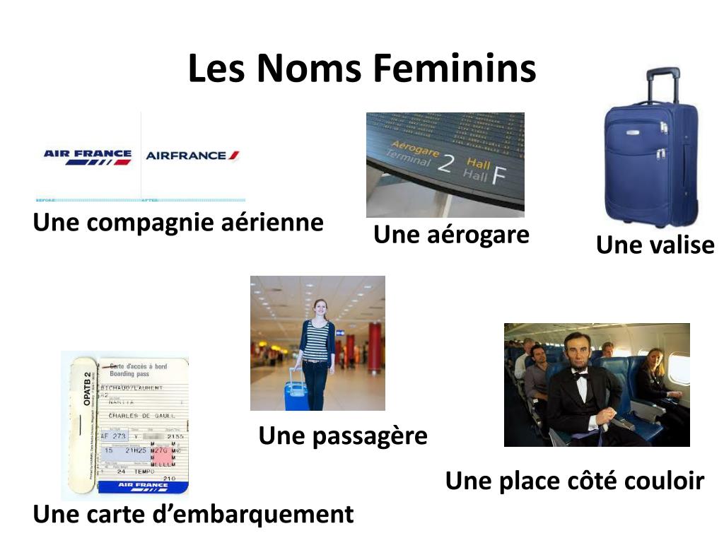 PPT - L’aéroport et l’avion Le Vocabulaire de Ch. 8 PowerPoint ...