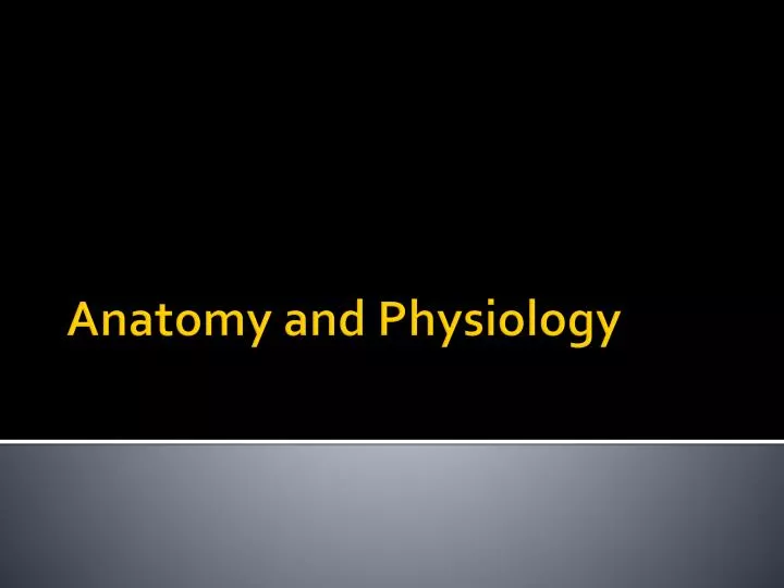 PPT - Anatomy and Physiology PowerPoint Presentation, free download ...