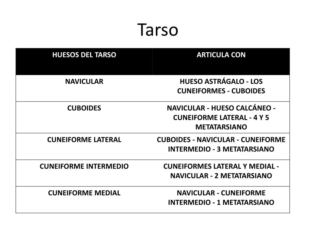PPT - Osteolog ía y Articulaciones del miembro inferior PowerPoint ...
