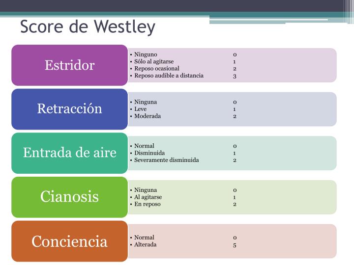 PPT - Laringitis Aguda PowerPoint Presentation - ID:2248137
