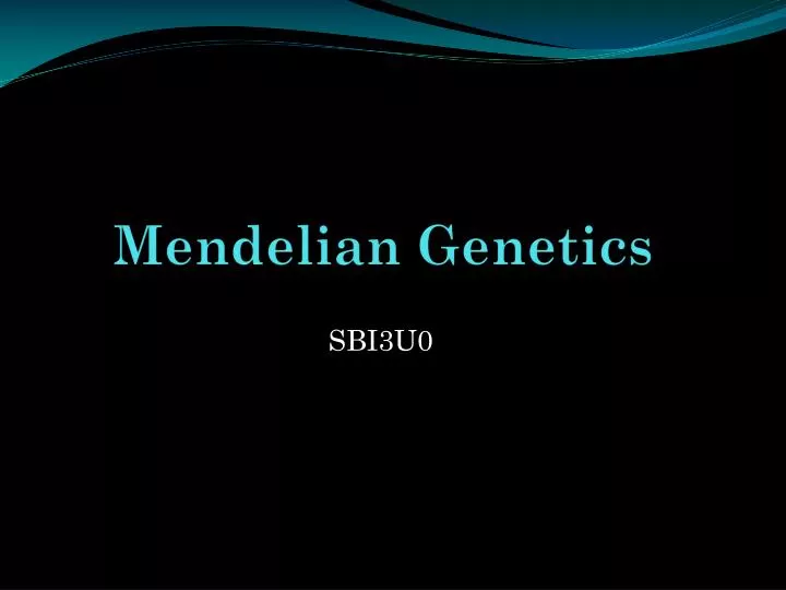 PPT - Mendelian Genetics PowerPoint Presentation, free download - ID ...