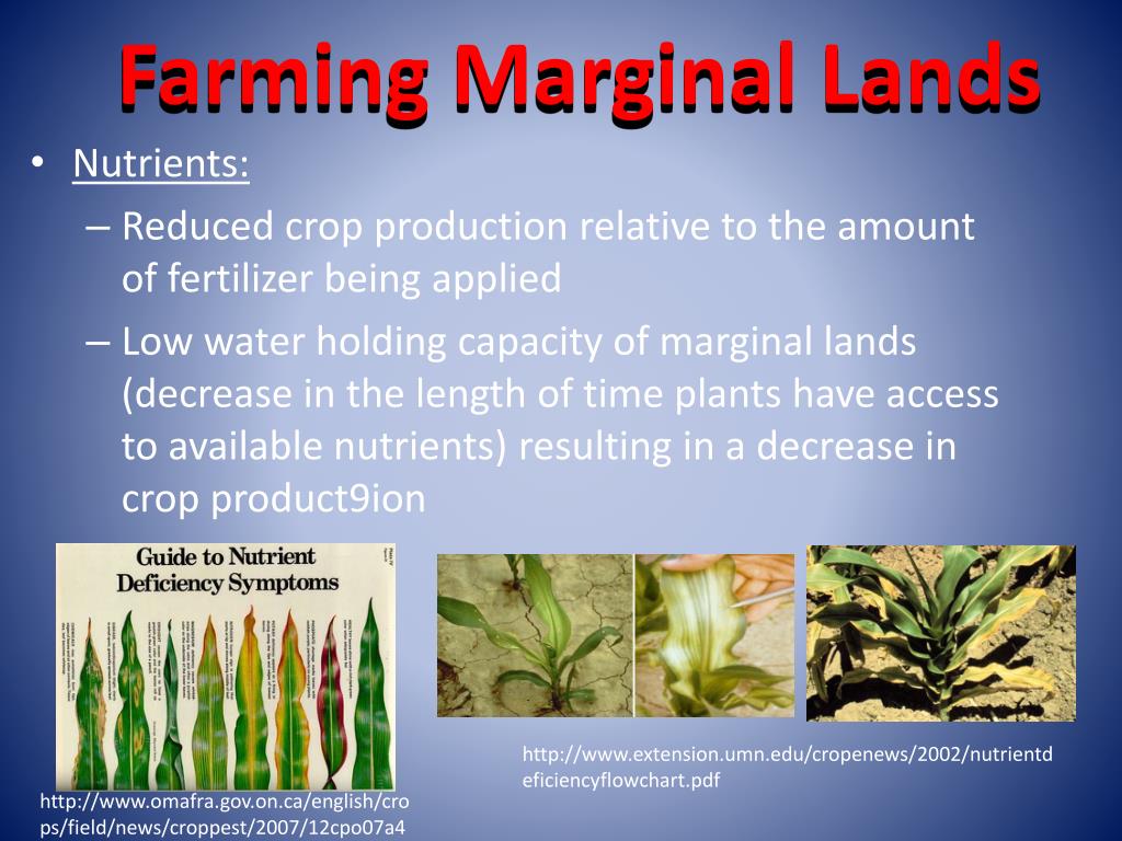 PPT - Watershed Impacts Bob Broz - University of Missouri Roberta Dow ...