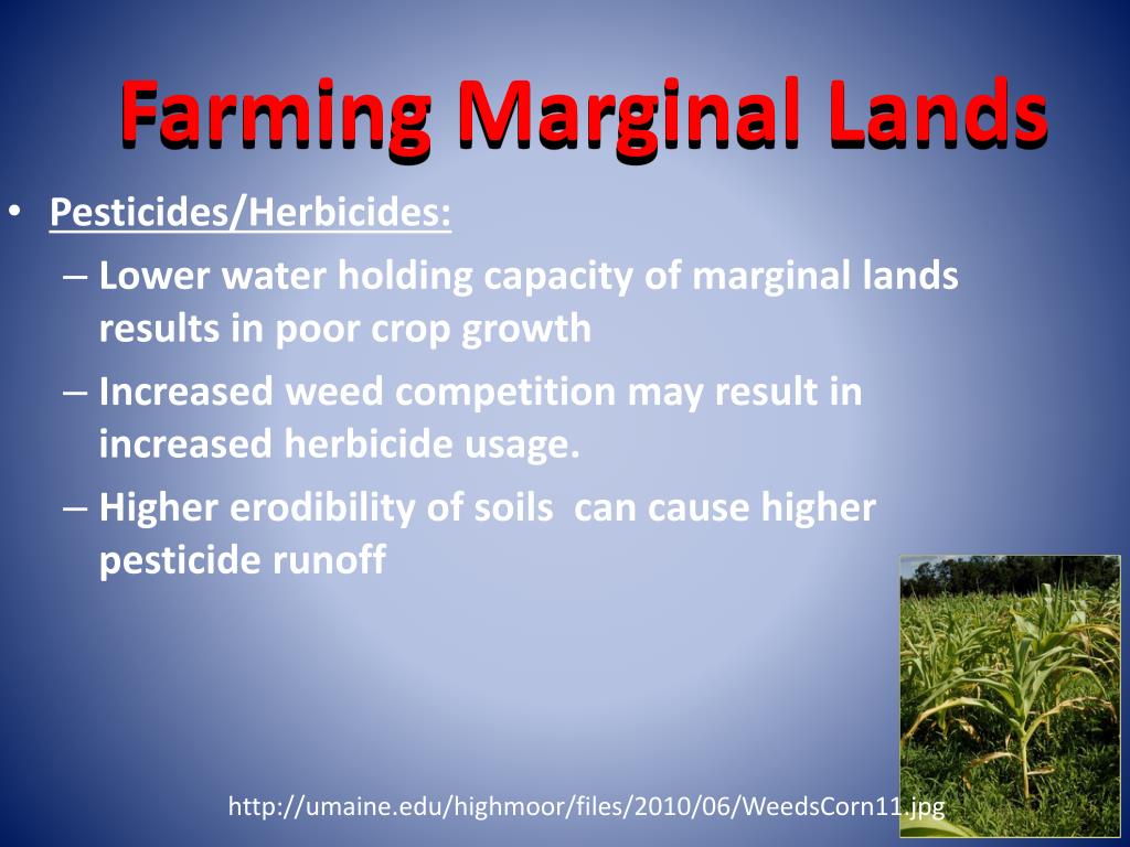 PPT - Watershed Impacts Bob Broz - University of Missouri Roberta Dow ...