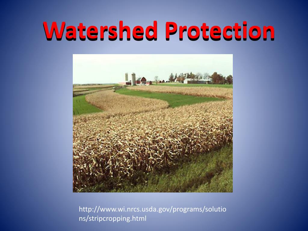 PPT - Watershed Impacts Bob Broz - University of Missouri Roberta Dow ...