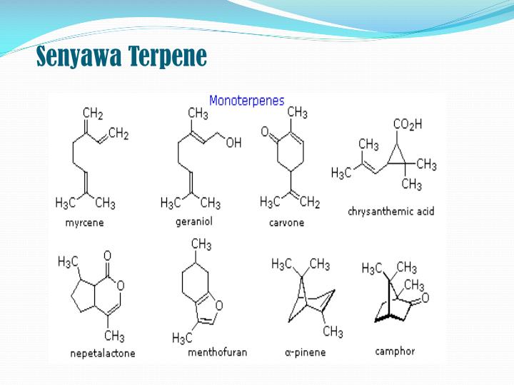 PPT - SPICES/ REMPAH PowerPoint Presentation - ID:2248610