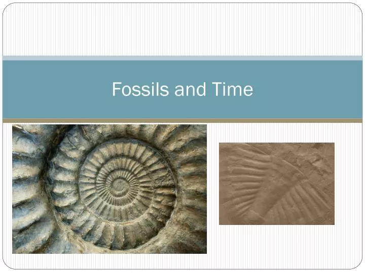 PPT - Fossils and Time PowerPoint Presentation, free download - ID:2248905