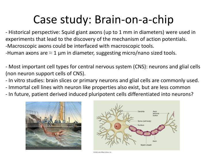 PPT - MT-0.6081 Microfluidics and BioMEMS Organs-on-a-chip: Microfludic ...