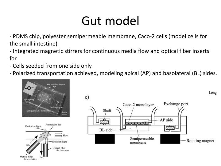 PPT - MT-0.6081 Microfluidics and BioMEMS Organs-on-a-chip: Microfludic ...