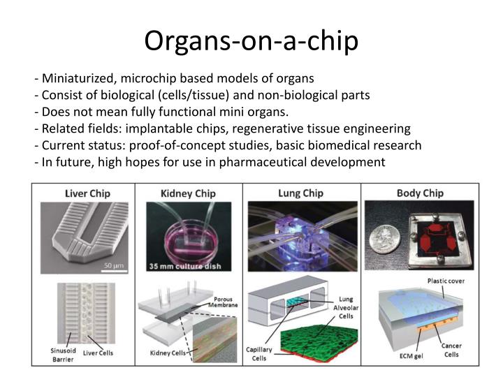 Images of Organ-on-a-chip - JapaneseClass.jp