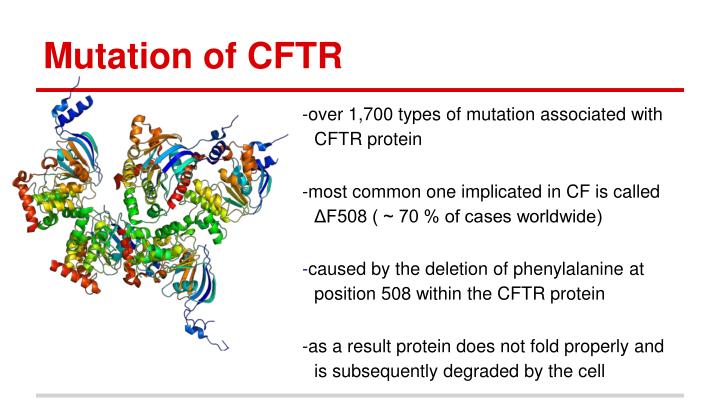 PPT - Diseases Associated with ABC Transporters November 4, 2013 ...
