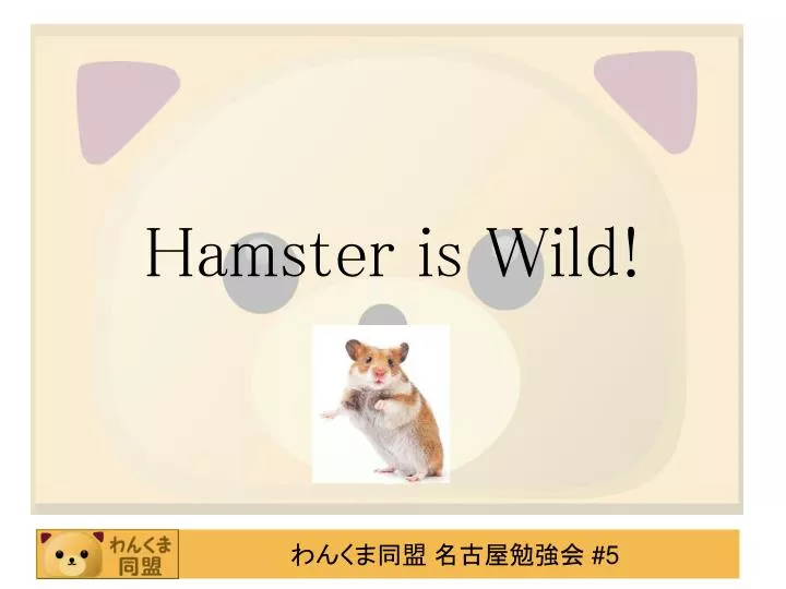 PPT - Hamster is Wild! PowerPoint Presentation, free download - ID:2249237