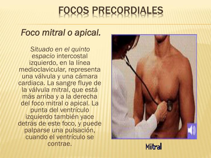 PPT - Exploración del sistema circulatorio( región precordial ...