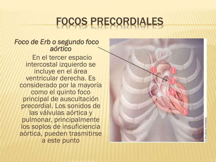 PPT - Exploración del sistema circulatorio( región precordial ...
