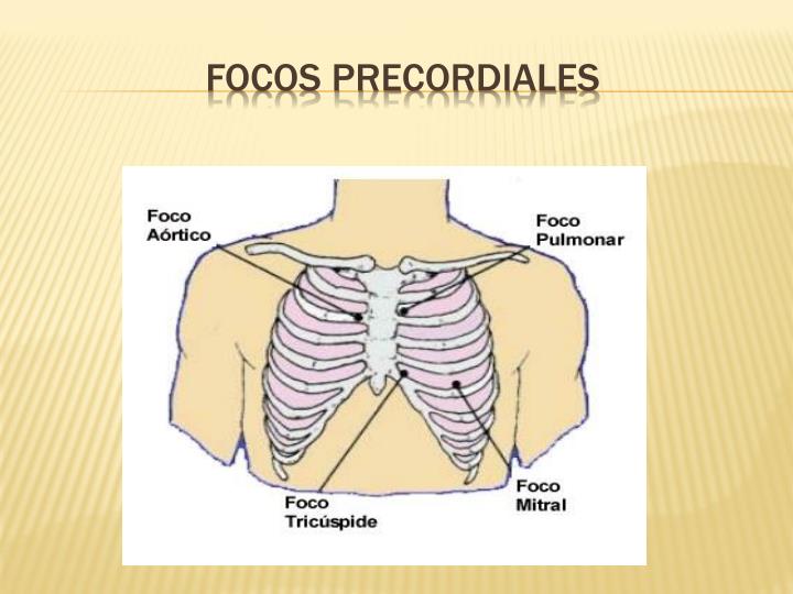 PPT - Exploración del sistema circulatorio( región precordial ...