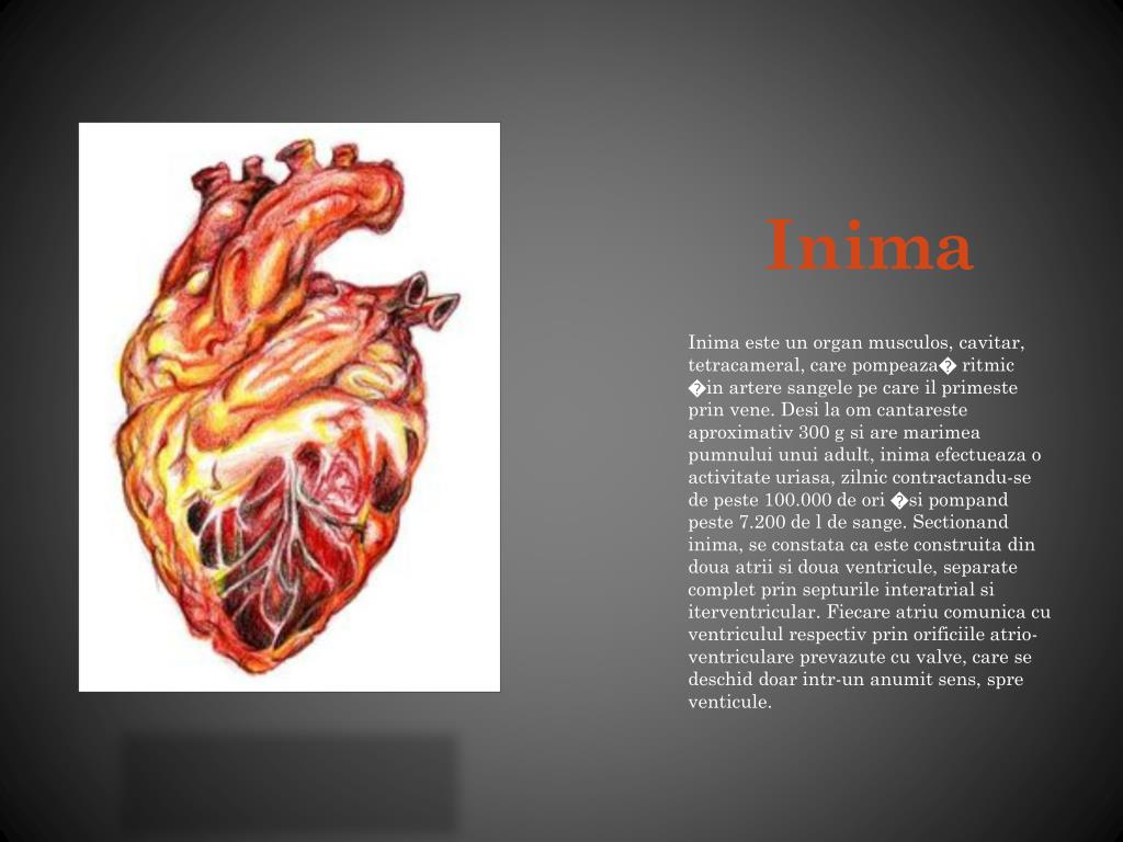 PPT - Circulatia Sangelui PowerPoint Presentation, free download - ID ...