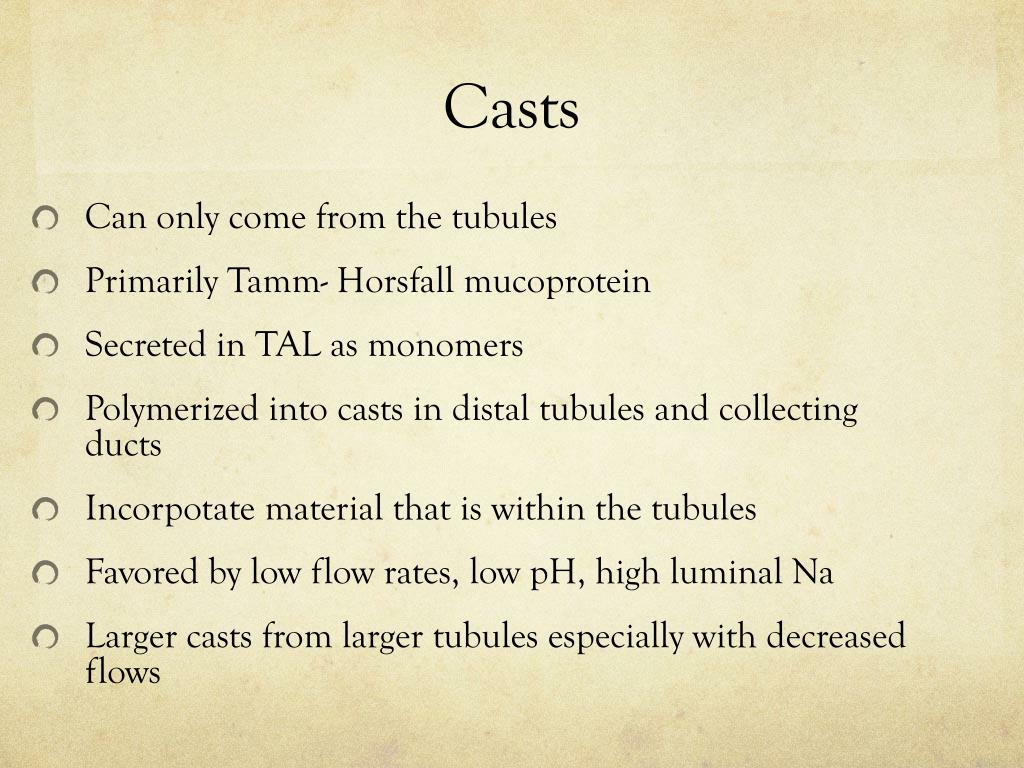 PPT - APPROACH TO A PATIENT WITH SUSPECTED KIDNEY DISEASE PowerPoint ...