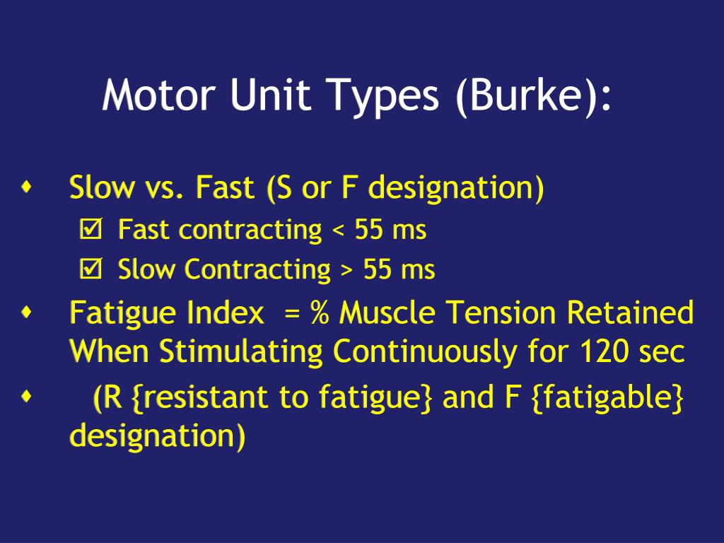PPT - NROSCI/BIOSCI 1070 MSNBIO 2070 Human Physiology PowerPoint ...
