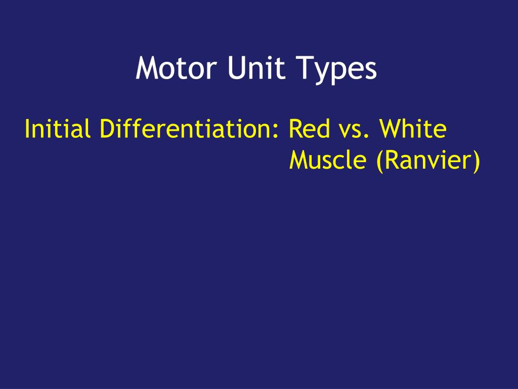 PPT - NROSCI/BIOSCI 1070 MSNBIO 2070 Human Physiology PowerPoint ...