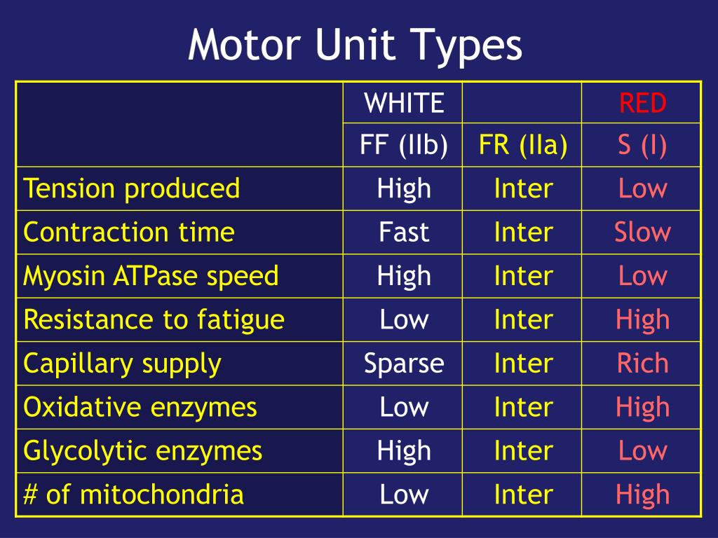 PPT - NROSCI/BIOSCI 1070 MSNBIO 2070 Human Physiology PowerPoint ...