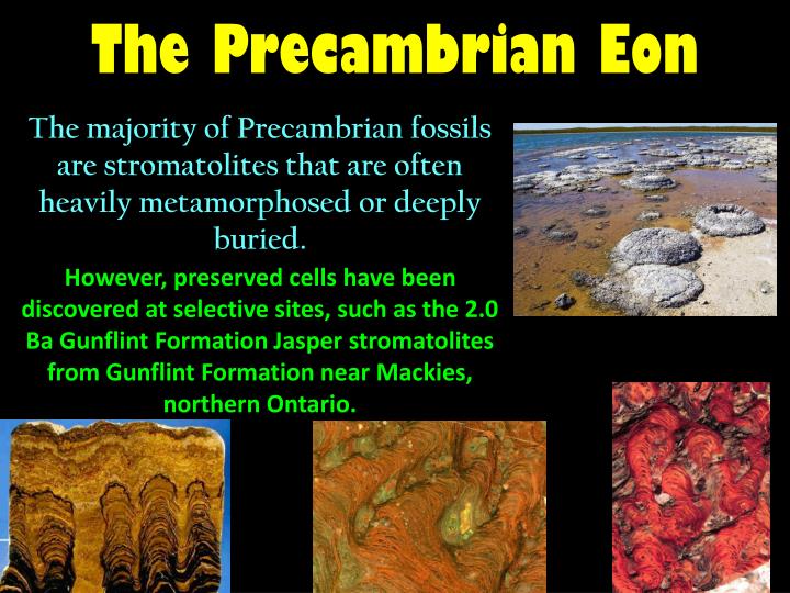 PPT - The Geologic Time Scale PowerPoint Presentation - ID:2250468