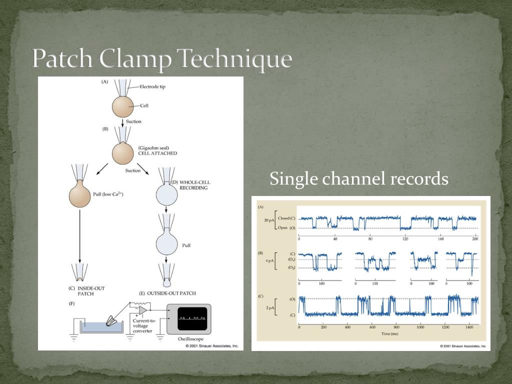 Java Clamp Method at Michele Reese blog Java Clamp Method at Michele Reese blog