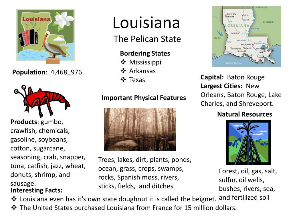 PPT - Louisiana The Pelican State PowerPoint Presentation, free ...
