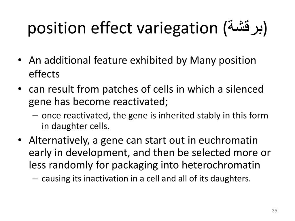 PPT - Cell Biology & Molecular Biology PowerPoint Presentation - ID:2250820