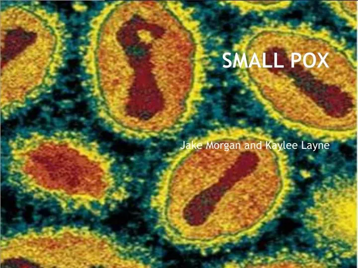 PPT - Small Pox PowerPoint Presentation, free download - ID:2251175