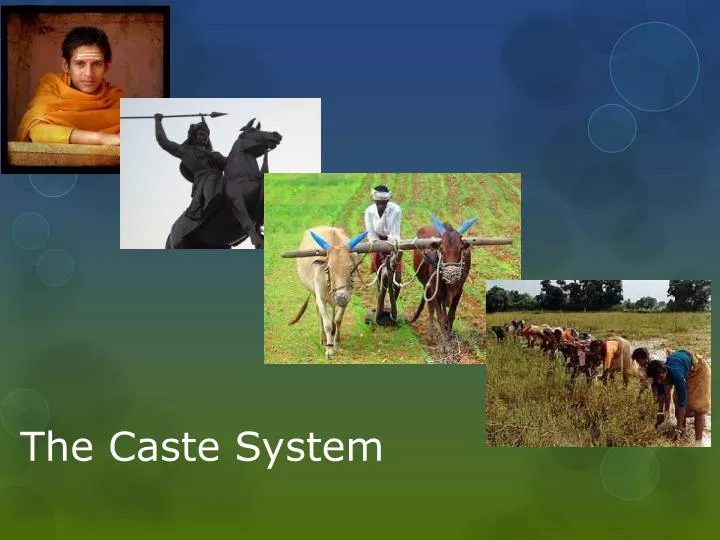 PPT - The Caste System PowerPoint Presentation, free download - ID:2251241