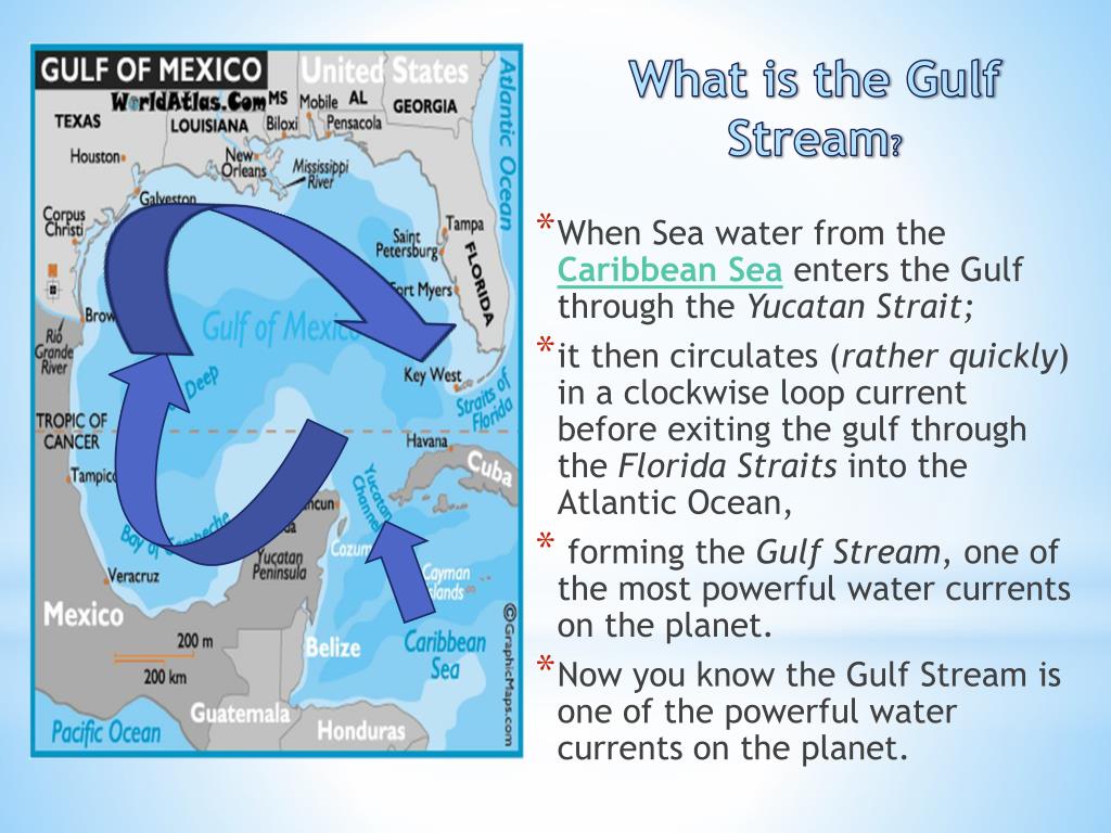 PPT - THE Gulf of Mexico PowerPoint Presentation, free download - ID ...