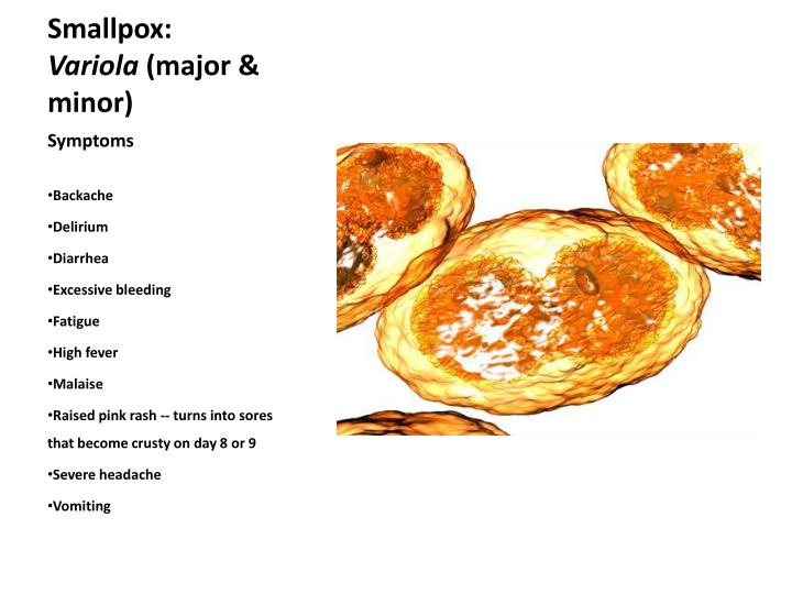 PPT - Edward Jenner and the history of smallpox and vaccination ...