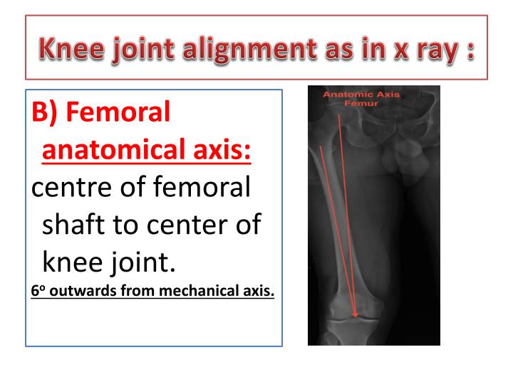 PPT - Pathomechanics of Knee Joint PowerPoint Presentation - ID:2251474