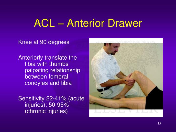 PPT - The Knee: Clinical Evaluation PowerPoint Presentation - ID:2251673