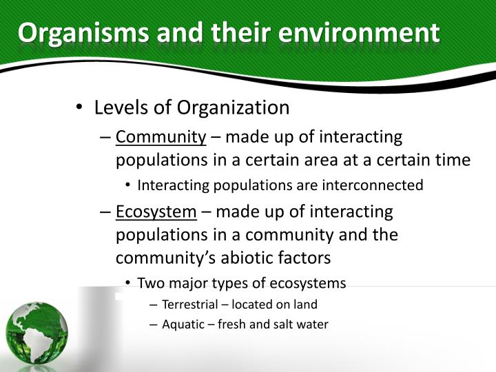 PPT - PRINCIPLES OF ecology PowerPoint Presentation - ID:2252180