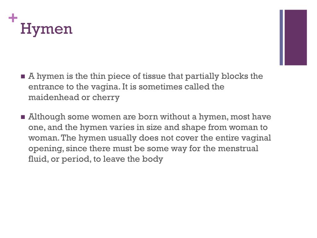 PPT - Male and Female Reproductive Anatomy PowerPoint Presentation ...