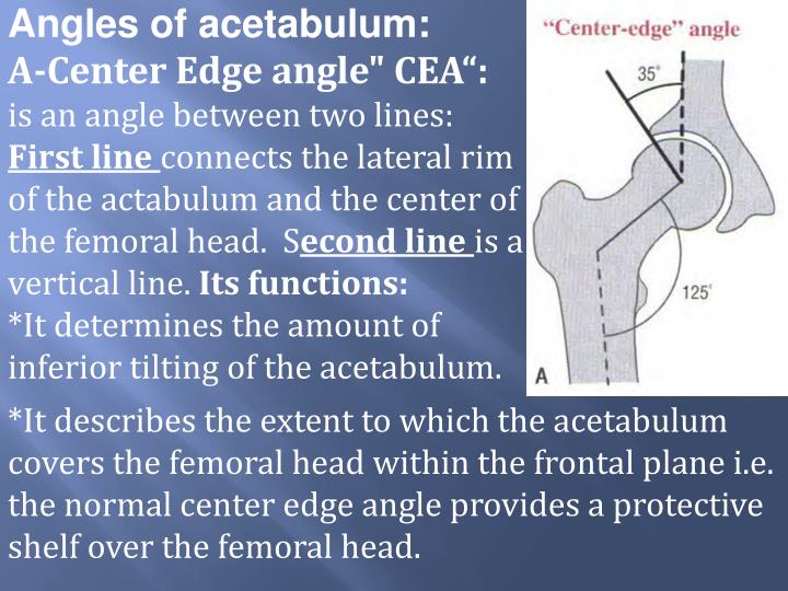 PPT - Pathomechanics of Hip Joint (part I) PowerPoint Presentation - ID ...