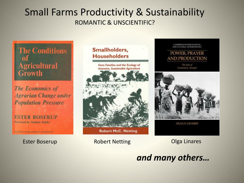 PPT - 2000: Suman Sahai , Gene Campaign: Gene Patents in India ...