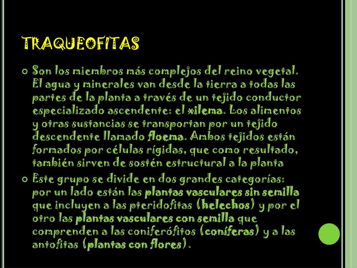 PPT - REINO VEGETAL PowerPoint Presentation - ID:2252930