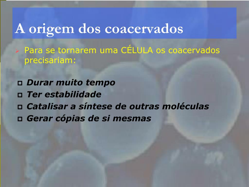PPT - Fundação Universidade Federal de Rondônia - UNIR Curso de ...